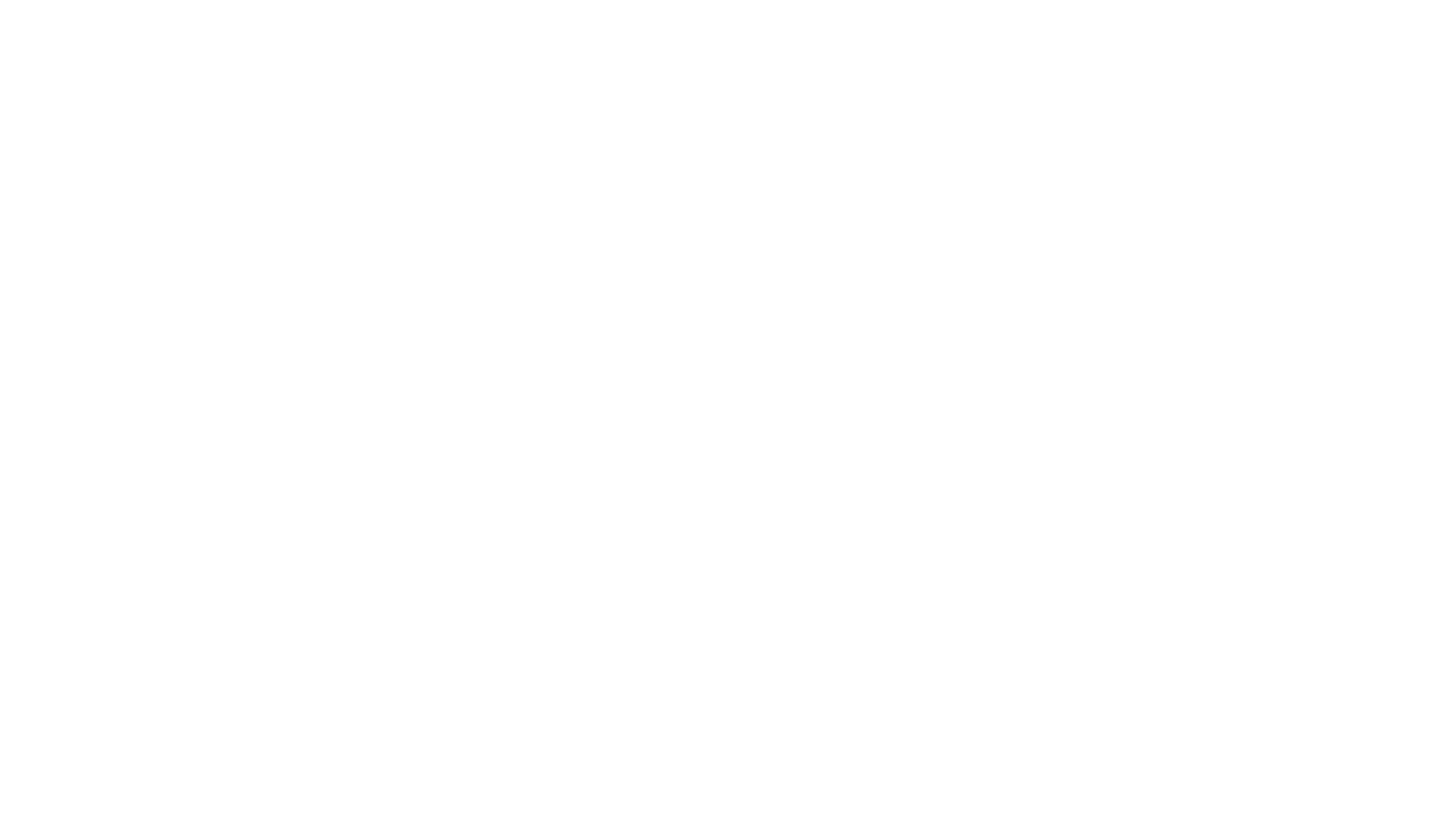 f(v)advisory - Creating a growth momentum